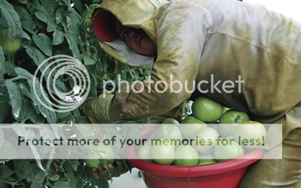 New labour rights for farm workers | The Bovine